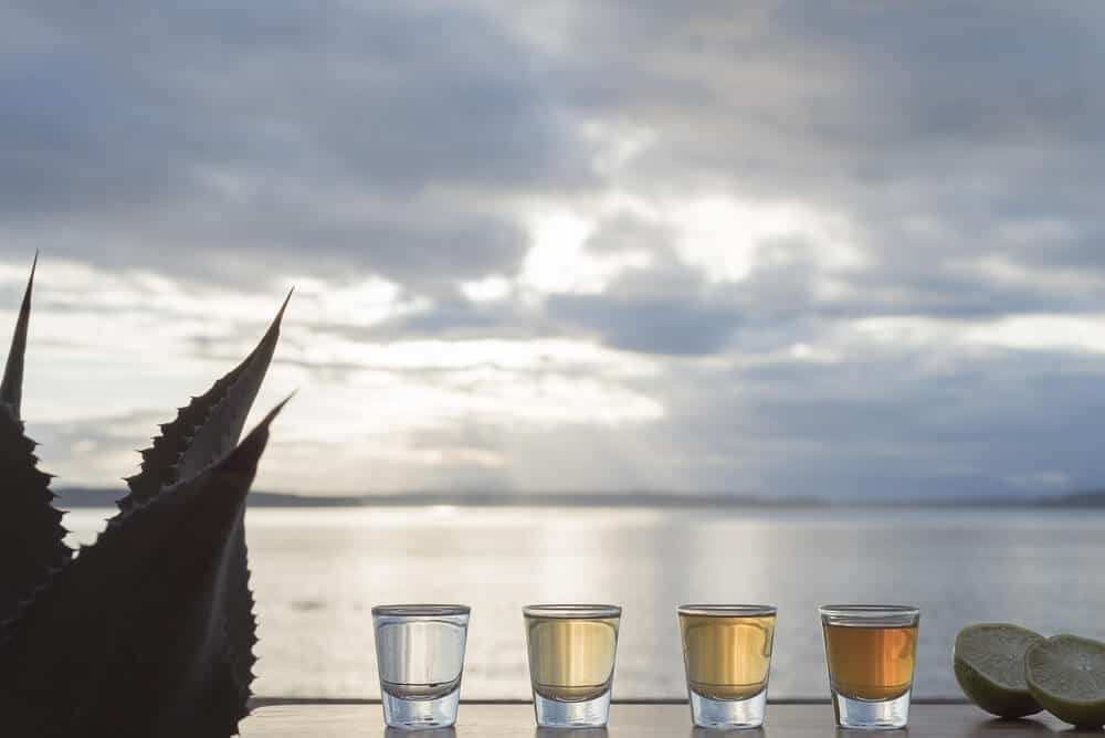11 Best Tequila Tours in Puerto Vallarta, Mexico: Sip Happens